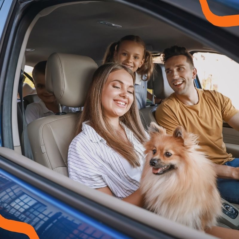 Pet-Friendly Car Buyer’s Guide - Mr. Auto Expert